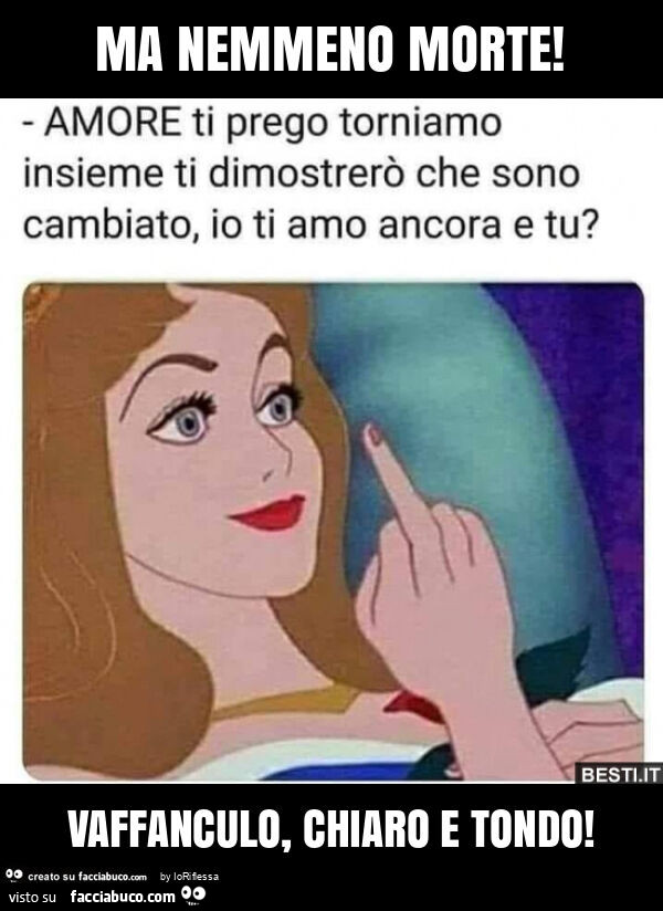 Facciabuco, il social network satirico!