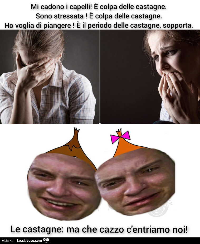 Vaccata pubblicata da Pietranera - Facciabuco.com