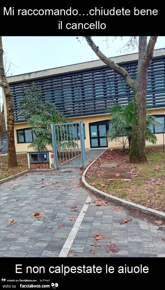 Facciabuco, il social network satirico!