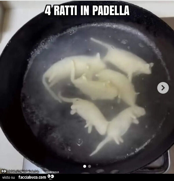 4 ratti in padella - Facciabuco.com