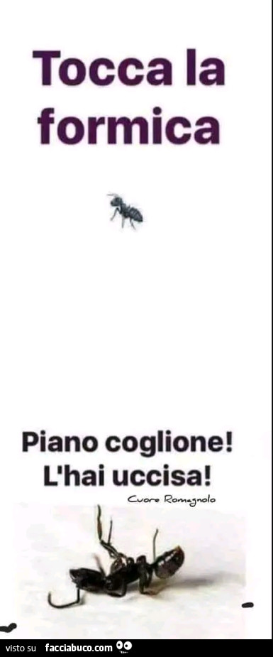 Tutti i meme su formiche - Facciabuco.com