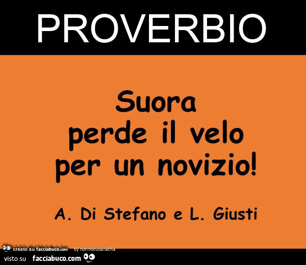 Proverbio: suora perde il velo per un novizio - Facciabuco.com