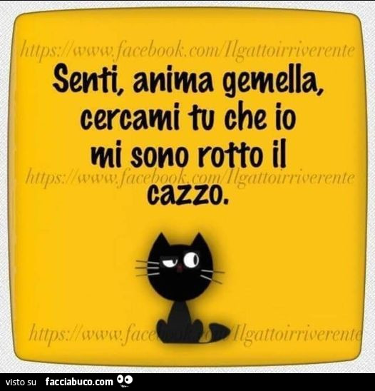 Senti, anima gemella, cercami tu che io mi sono rotto il cazzo ...