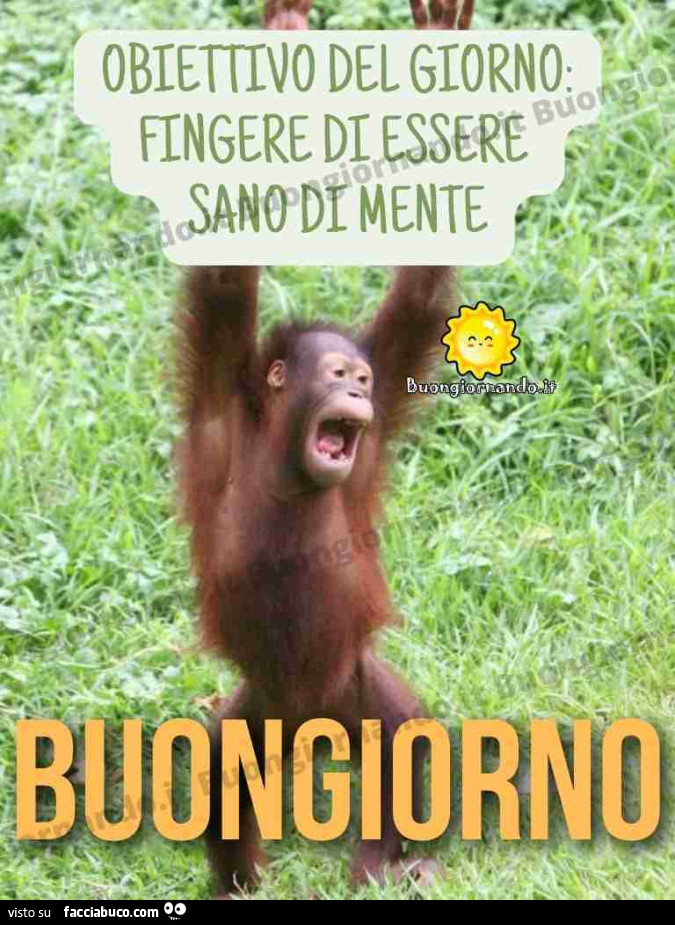 Tutti i meme sulle Scimmie - Facciabuco.com