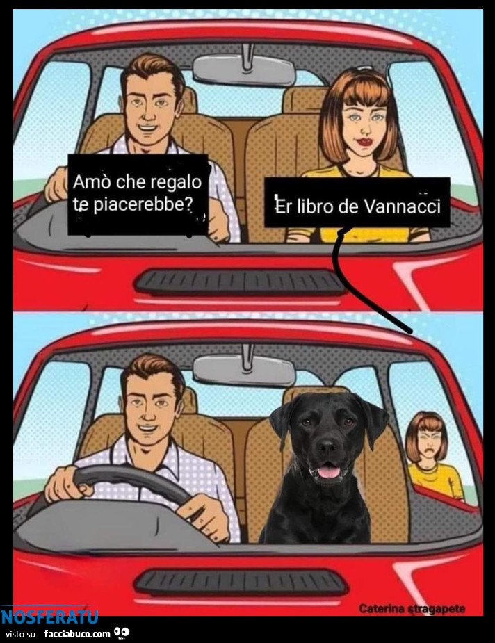 Tutti i meme su Generale Vannacci - Facciabuco.com