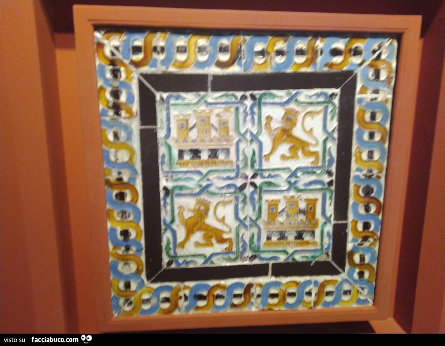 Vaccate - Facciabuco.com