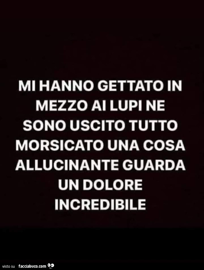 Mi hanno gettato in mezzo ai lupi ne sono uscito tutto morsicato una ...