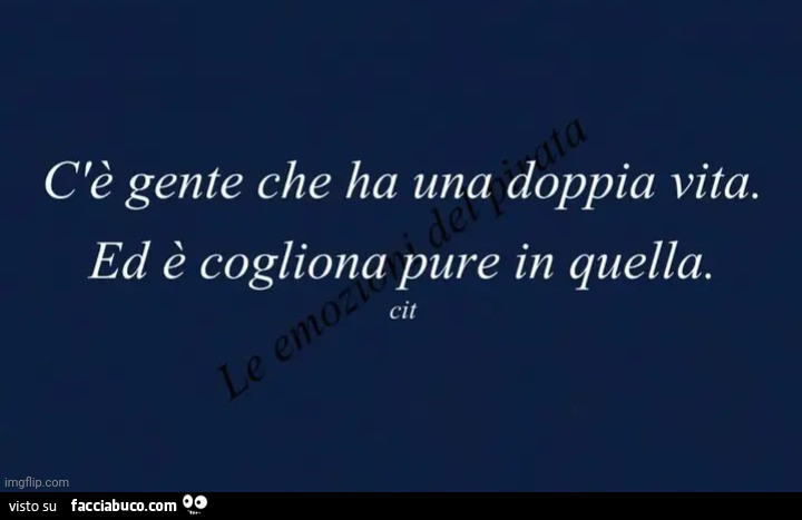 C'è gente che ha una doppia vita. Ed è cogliona pure in quella ...