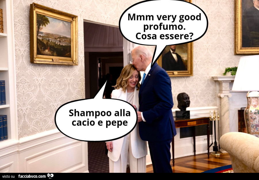 Tutti i meme su Giorgia Meloni - Facciabuco.com