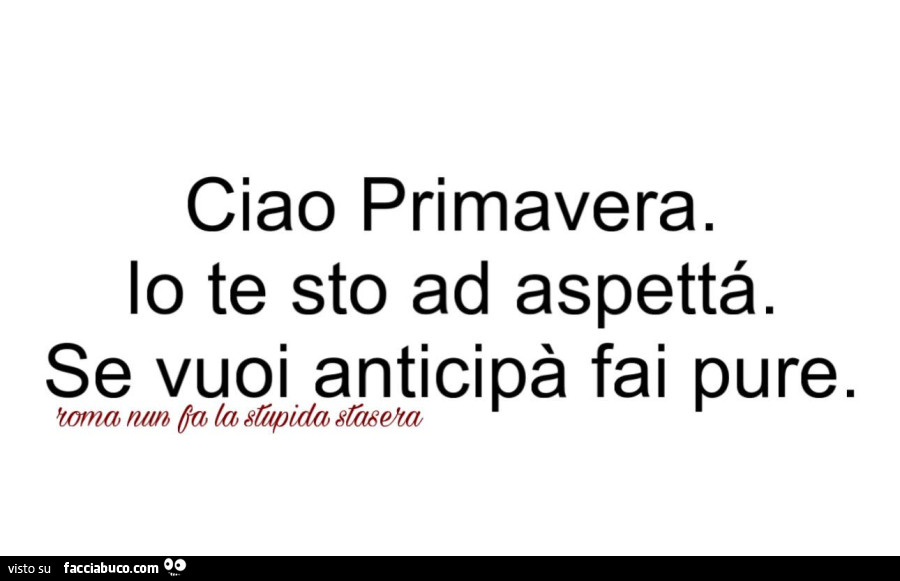 Tutti i meme sulla Primavera - Facciabuco.com