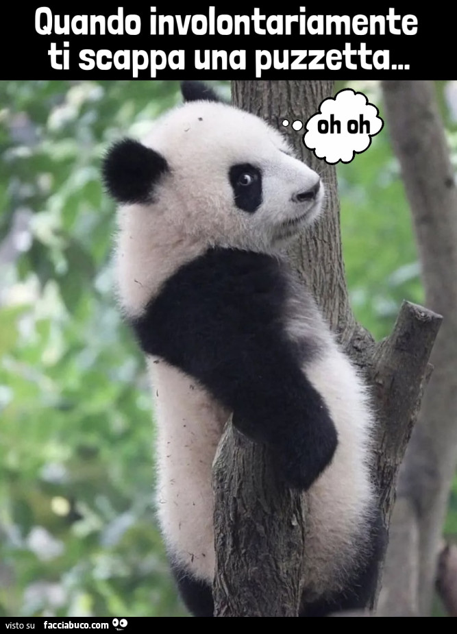 Ladies and gentlemen...buongiorno ????? Happy Friday!… - Facciabuco.com