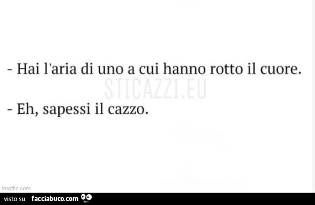 Hai l'aria di uno a cui hanno rotto il cuore. Eh, sapessi il cazzo ...