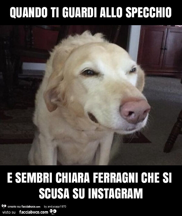 Quando ti guardi allo specchio e sembri chiara ferragni che si scusa su ...