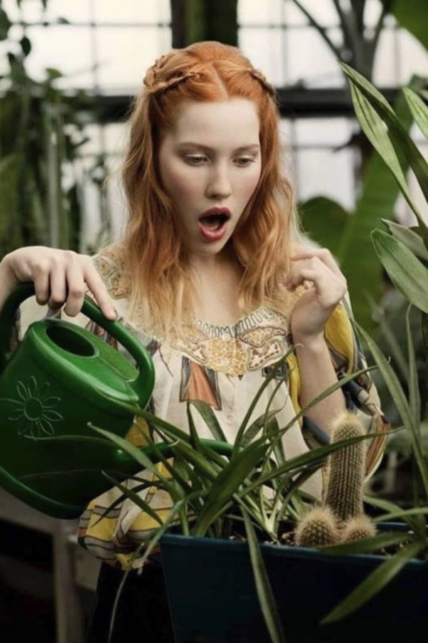 Vaccate - Facciabuco.com