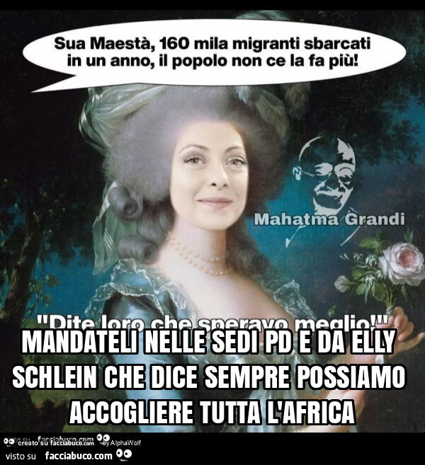 Tutti i meme su Elly Schlein - Facciabuco.com